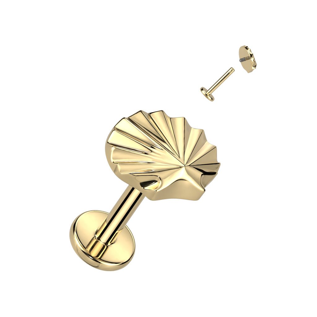 Titanium Internally Threaded Sea Shell Labret | SkinKandy AU